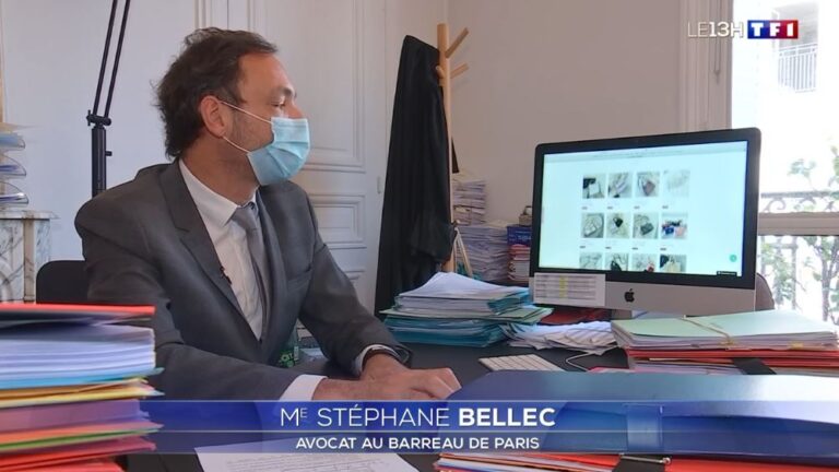 Dropshipping sur les réseaux sociaux : Stéphane Bellec au JT de TF1